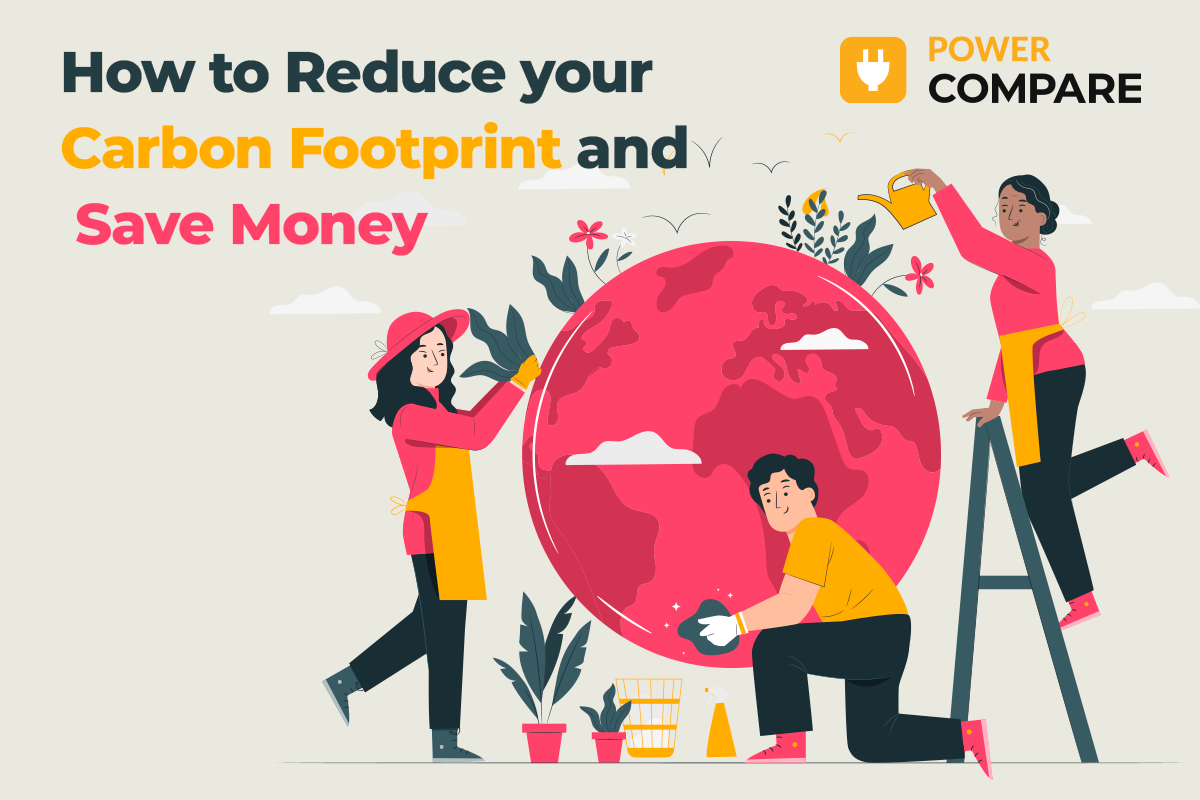 How to Reduce your Carbon Footprint and Save Money
